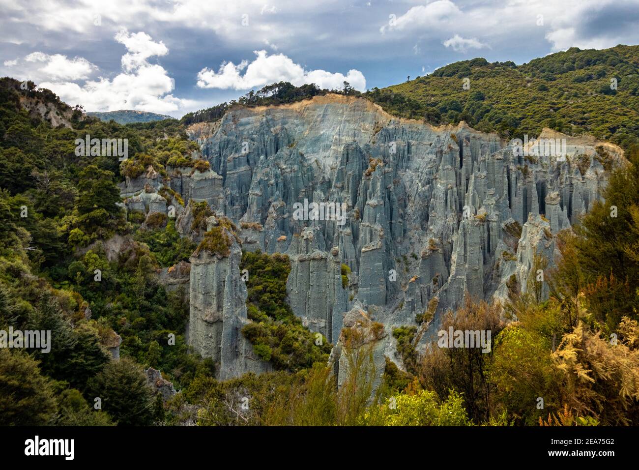Pinnacles on the North Island, New Zealand Stock Photo - Alamy