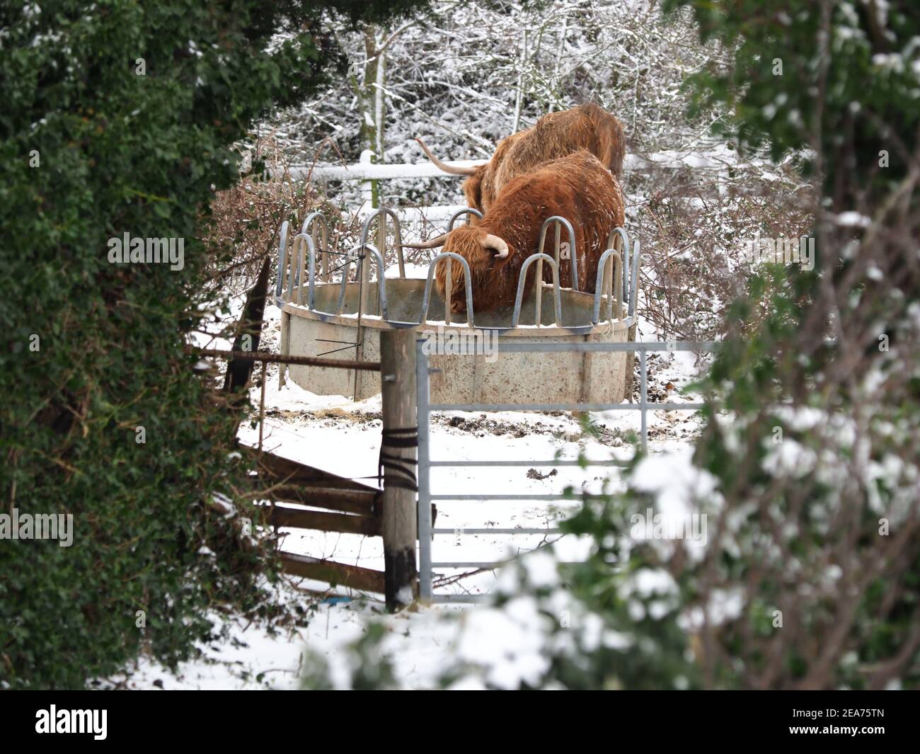 The beast from the east ii hi-res stock photography and images - Alamy