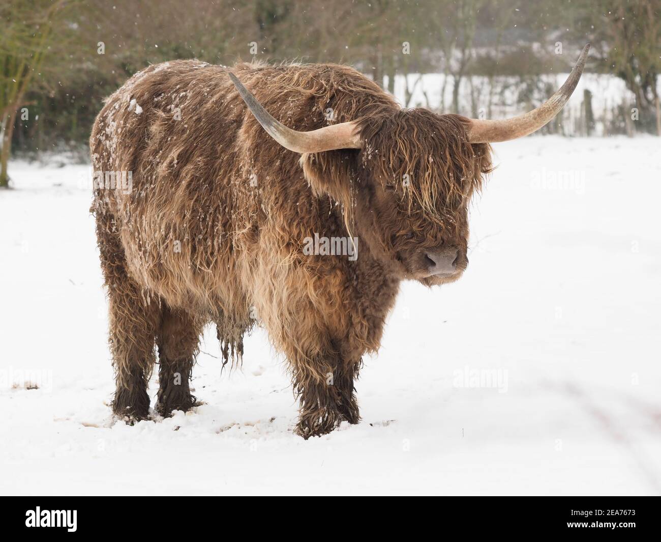 Sheerness, Kent, UK. 8th February, 2021. UK Weather: a small group of ...