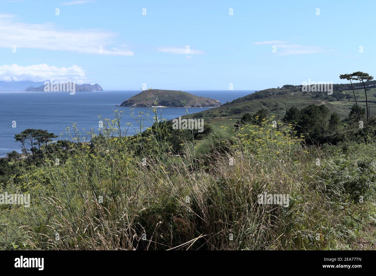 Galicia ons island hi-res stock photography and images - Alamy