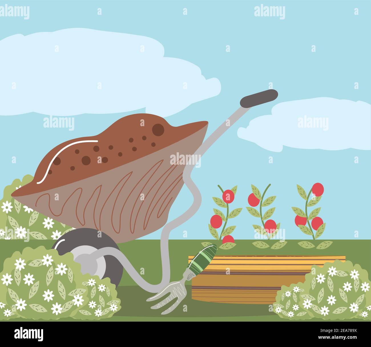 garden wheelbarrow soil plantation tomatoes and rake vector ...