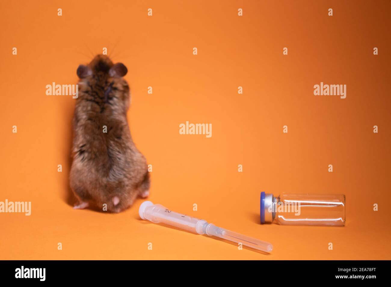 Tests on mice hi-res stock photography and images - Alamy