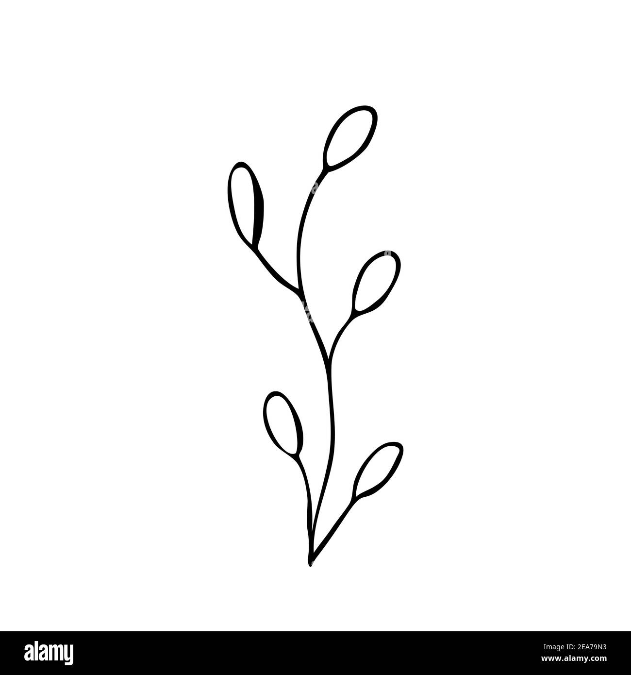 Hand drawn abstract floral sprig silhouette. Black and white outline ...
