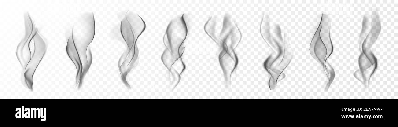 Realistic cigarette smoke. Vapor in air, steam flow. Fog, mist effect ...