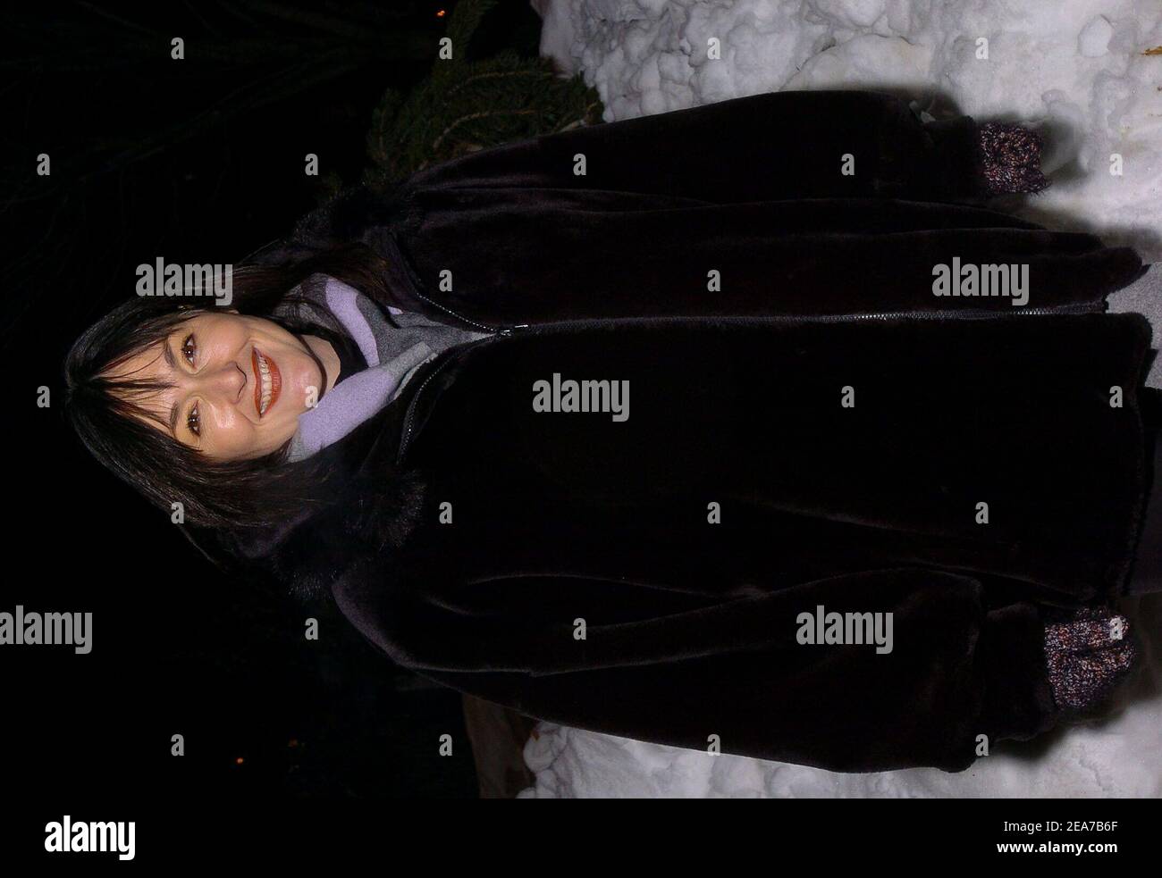 Nora Dunn attends the screening of November at the Library Theatre ...