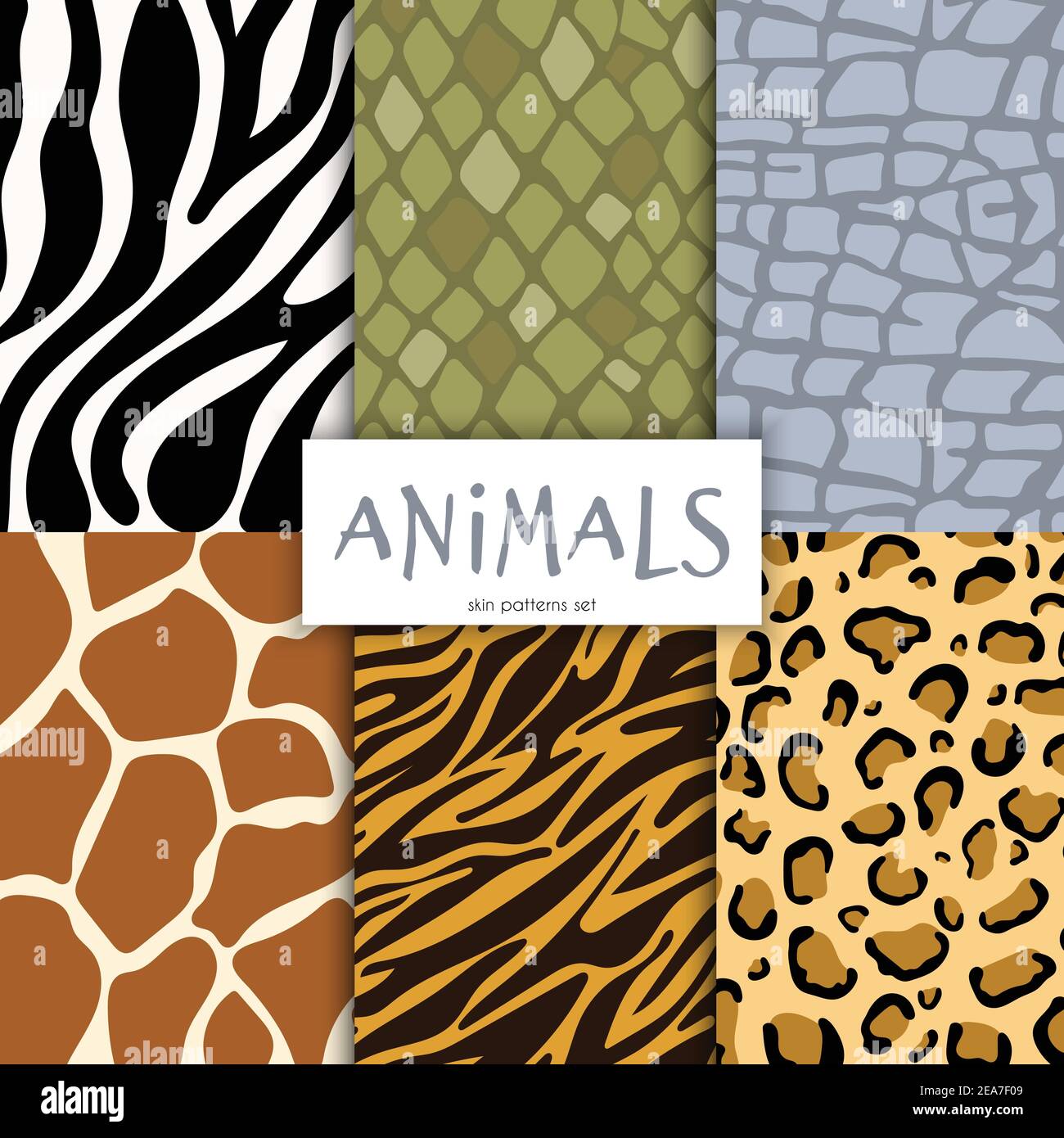 Animals skin patterns set. Handdrawn vector illustration Stock Vector ...