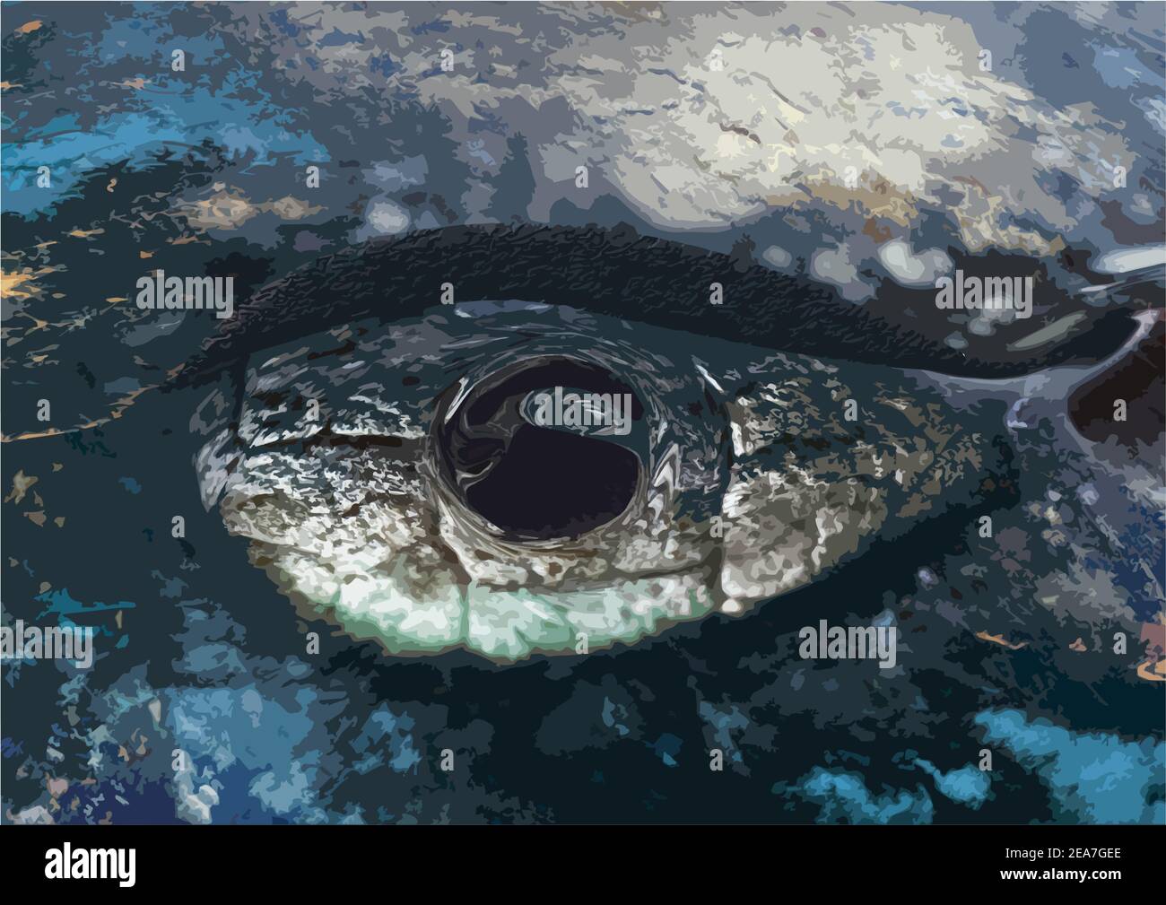 vector illustration of the eye of a dragon, a mythical creature Stock ...