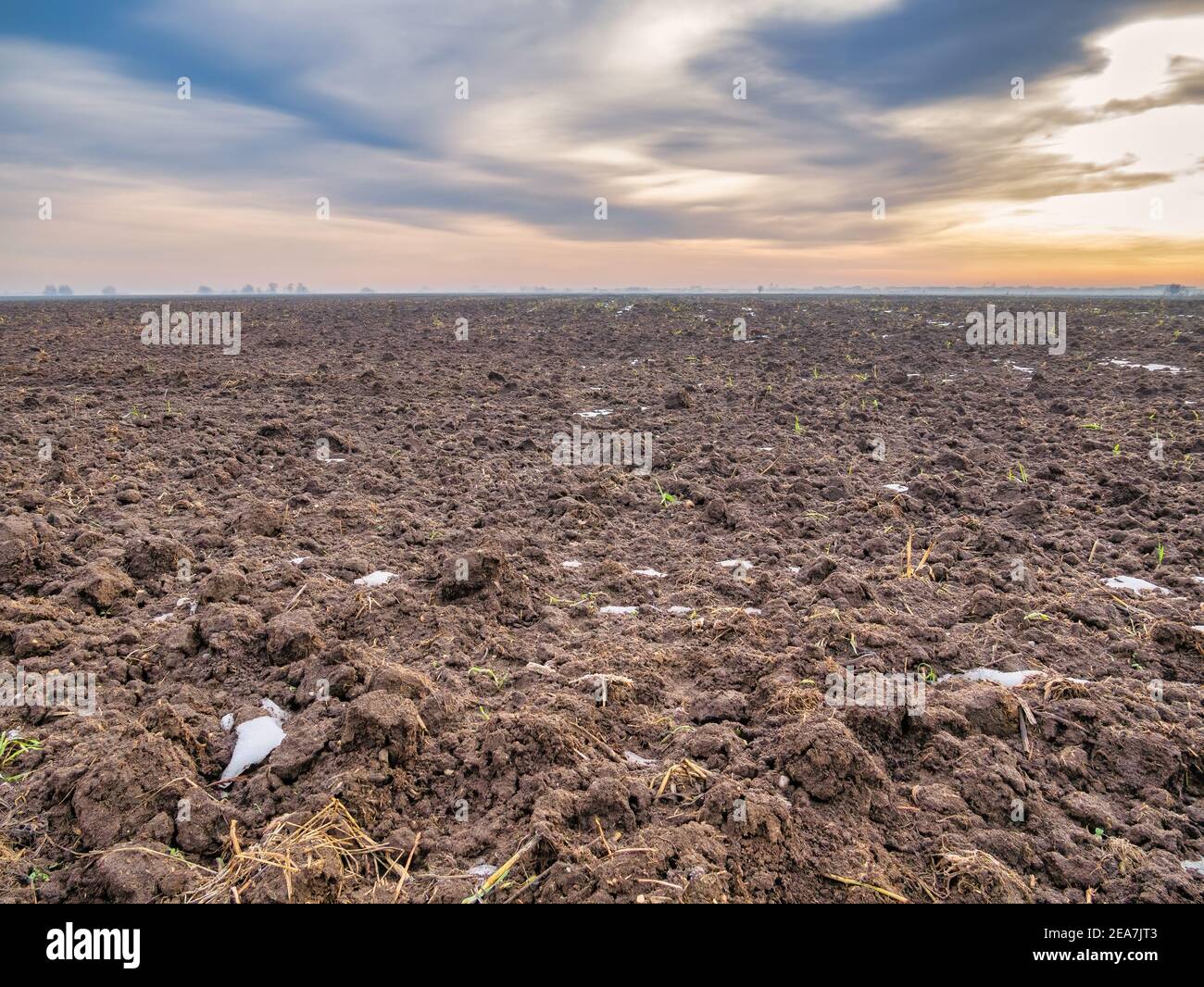 Large dug up plowed land or field for sowing grain or planting potatoes ...