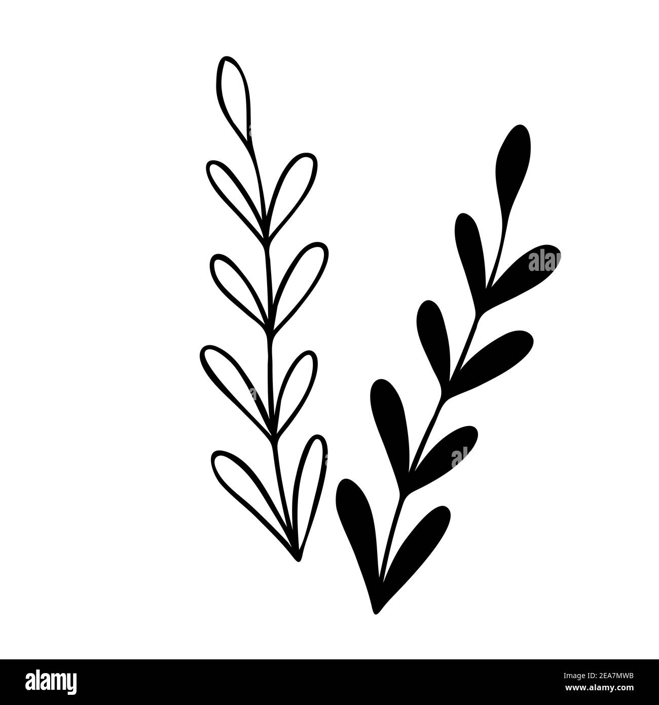 Hand drawn abstract floral sprig silhouette. Black and white outline ...