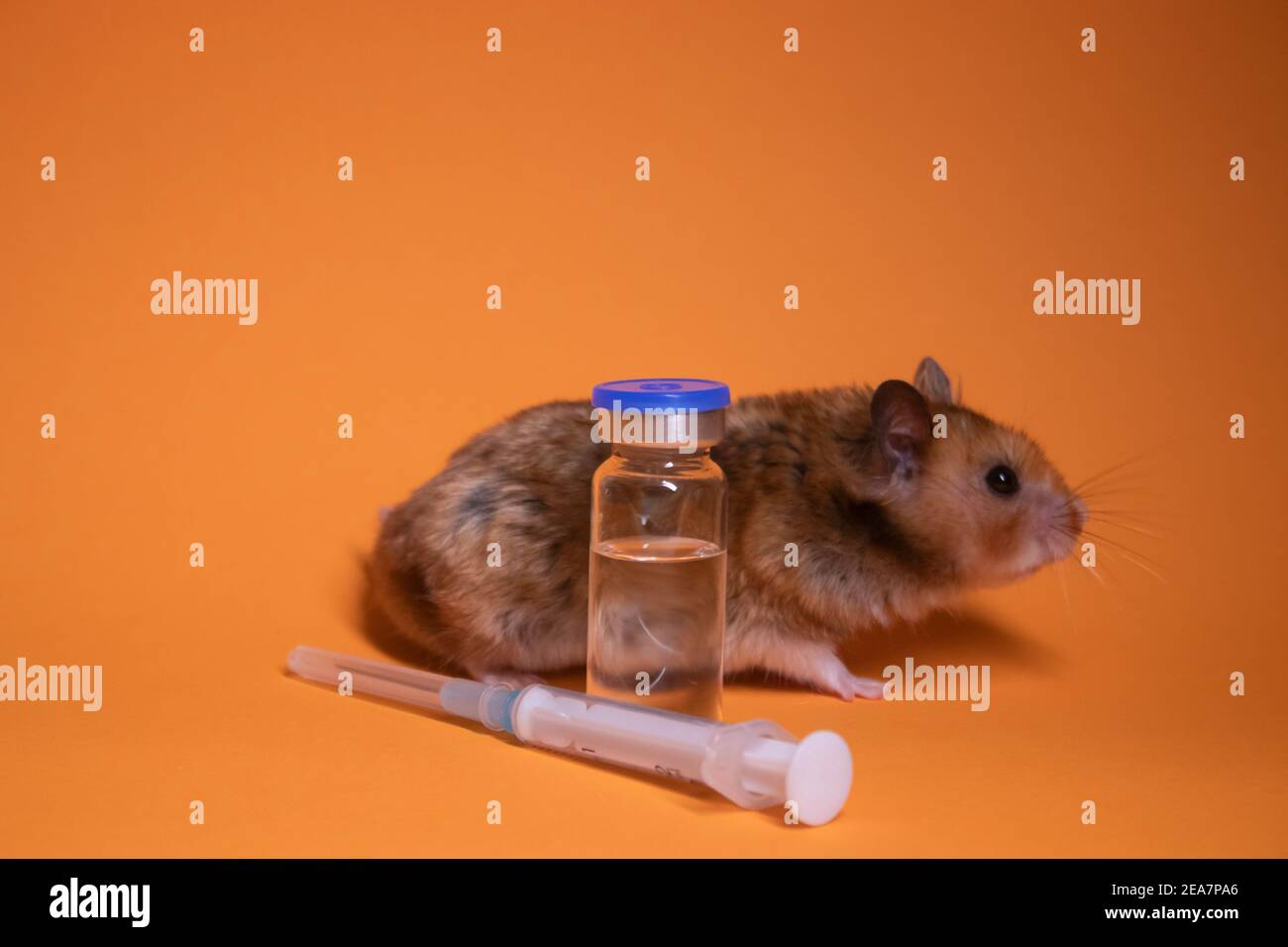 Tests on mice hi-res stock photography and images - Alamy