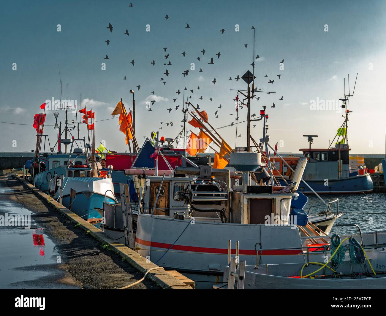 Langeland hi-res stock photography and images - Alamy