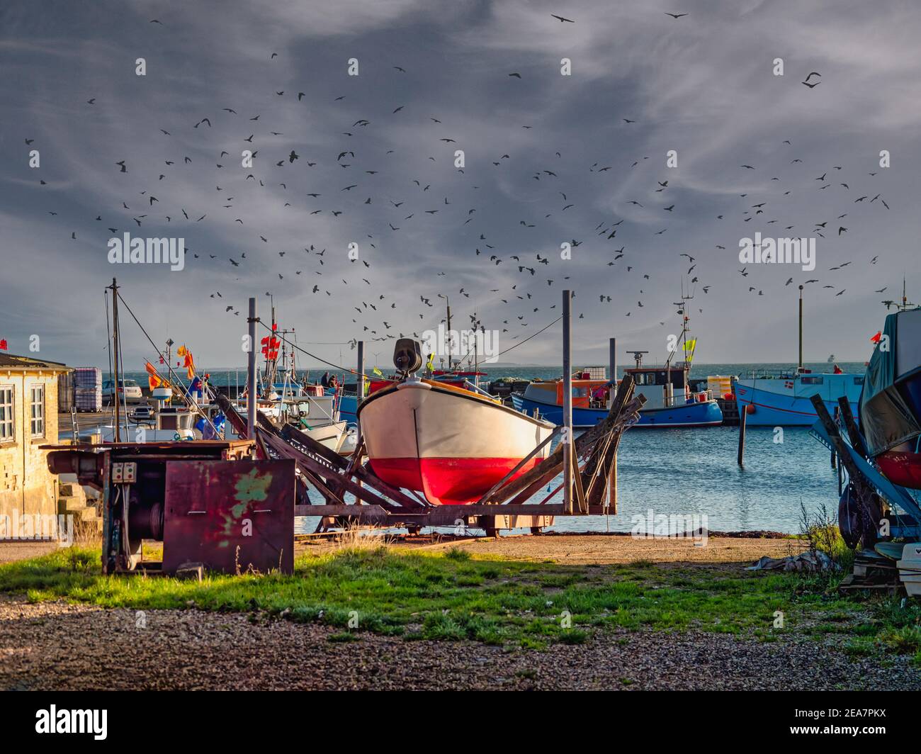 Spodsbjerg harbor on Langeland in rural Denmark Stock Photo - Alamy