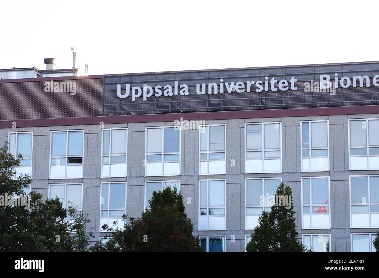 UPPSALA, SWEDEN- 11 AUGUST 2020: Biomedical Center (BMC), Uppsala ...