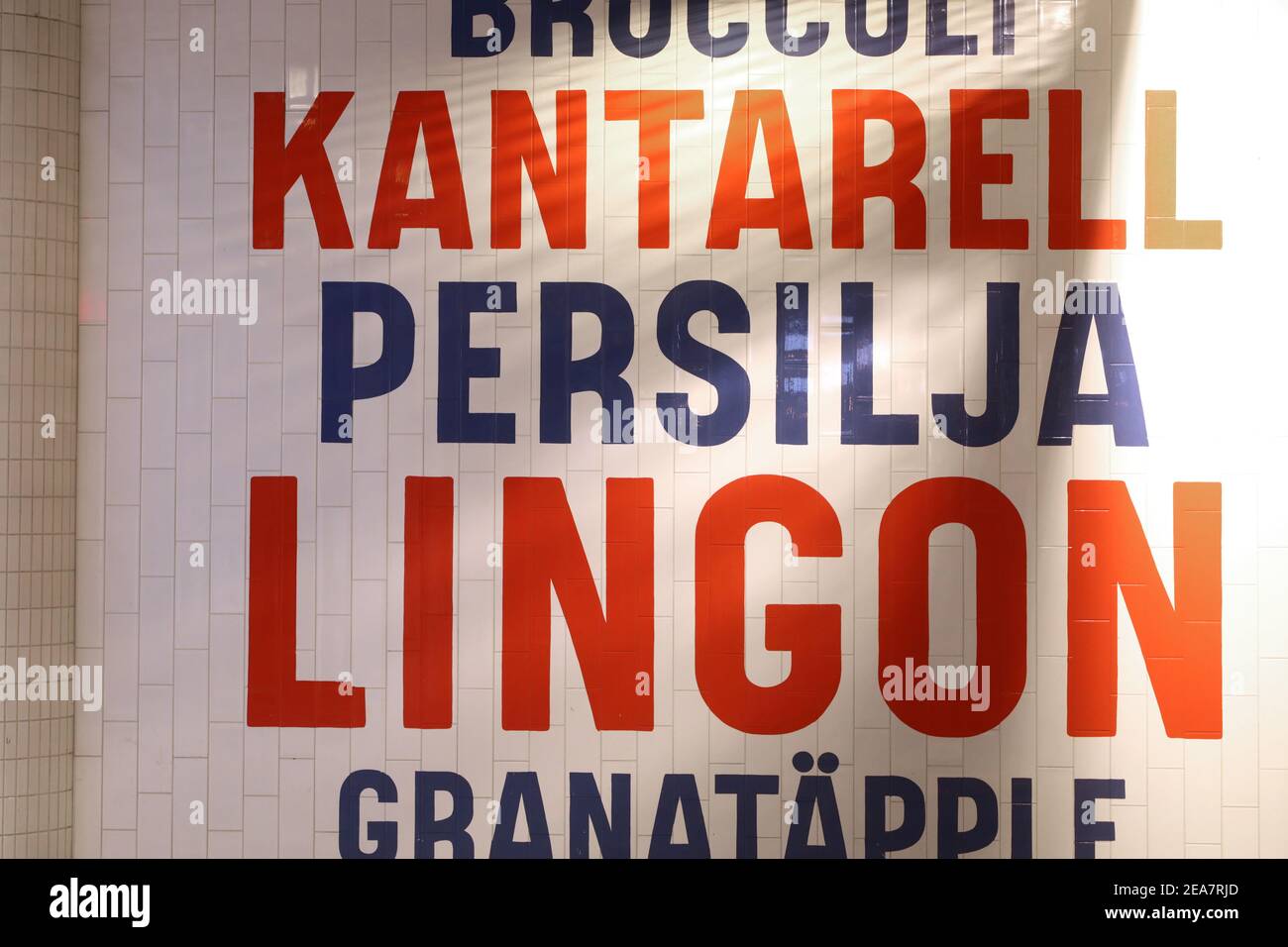UPPSALA, SWEDEN- 11 AUGUST 2020: The grocery store "Hemköp" in a mall ...