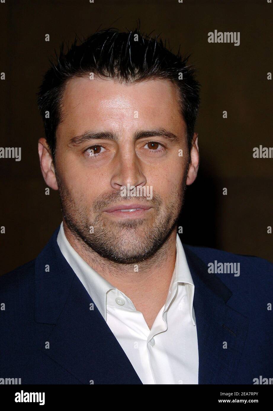 Matt LeBlanc attends the premiere of the Mayor of Sunset Strip at the ...