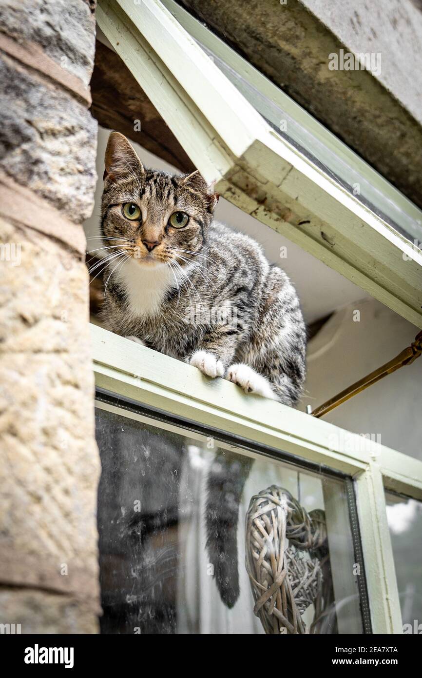 Climbing out window hi-res stock photography and images - Alamy