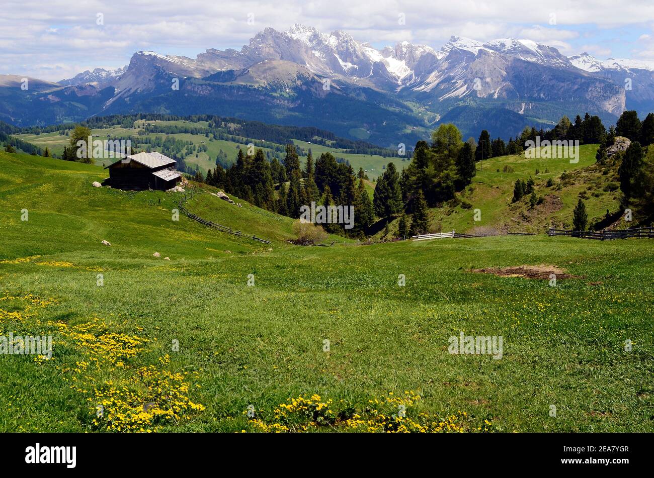 Alpe di siusi agriculture hi-res stock photography and images - Alamy
