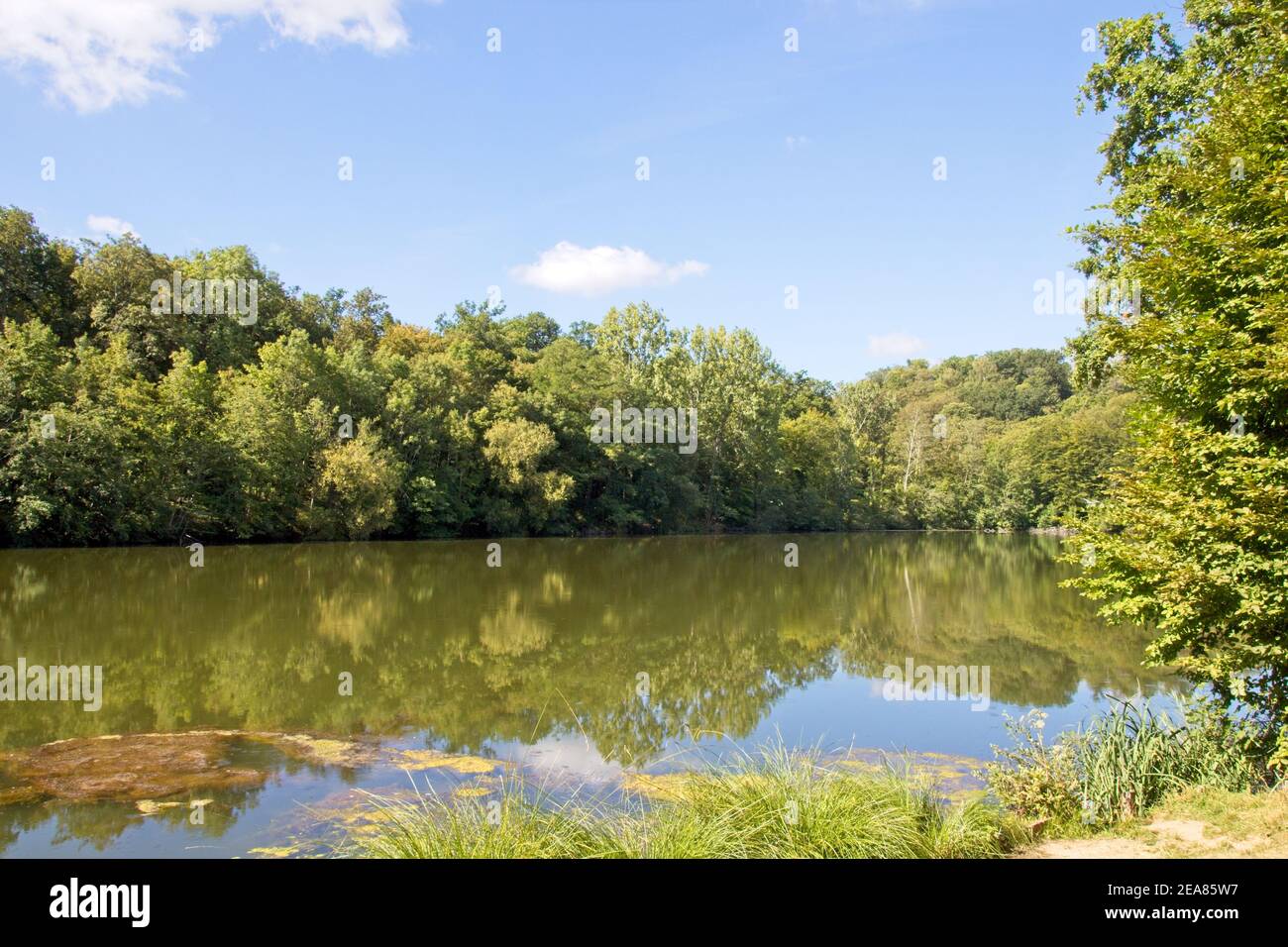 landscape with lake Stock Photo - Alamy