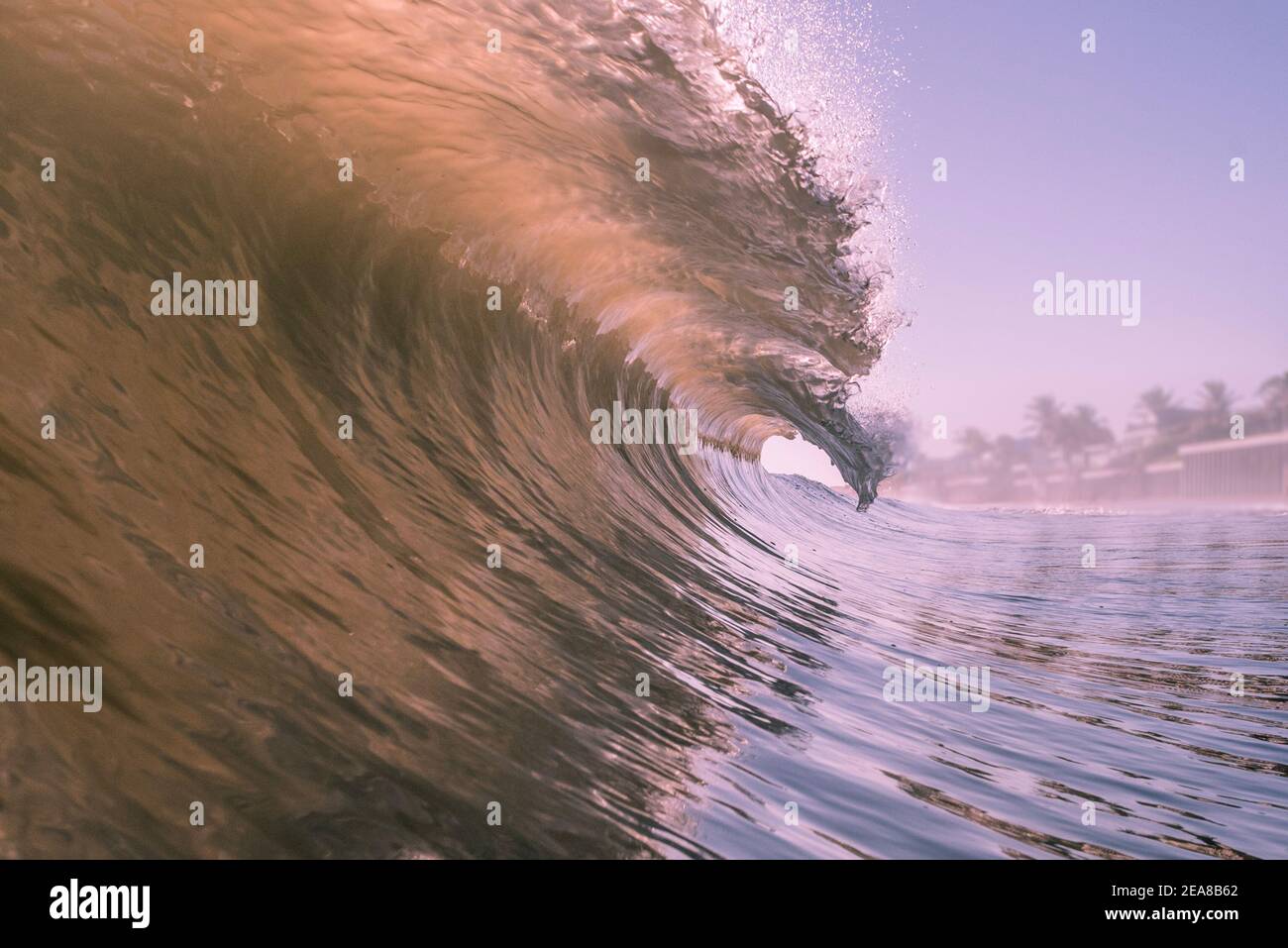 ocean wave crest tube beach Stock Photo - Alamy