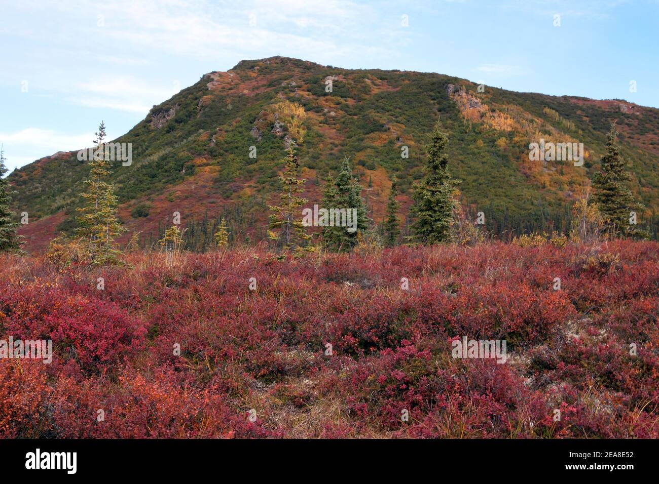 Autumn in Alaska with beautiful colors Stock Photo - Alamy