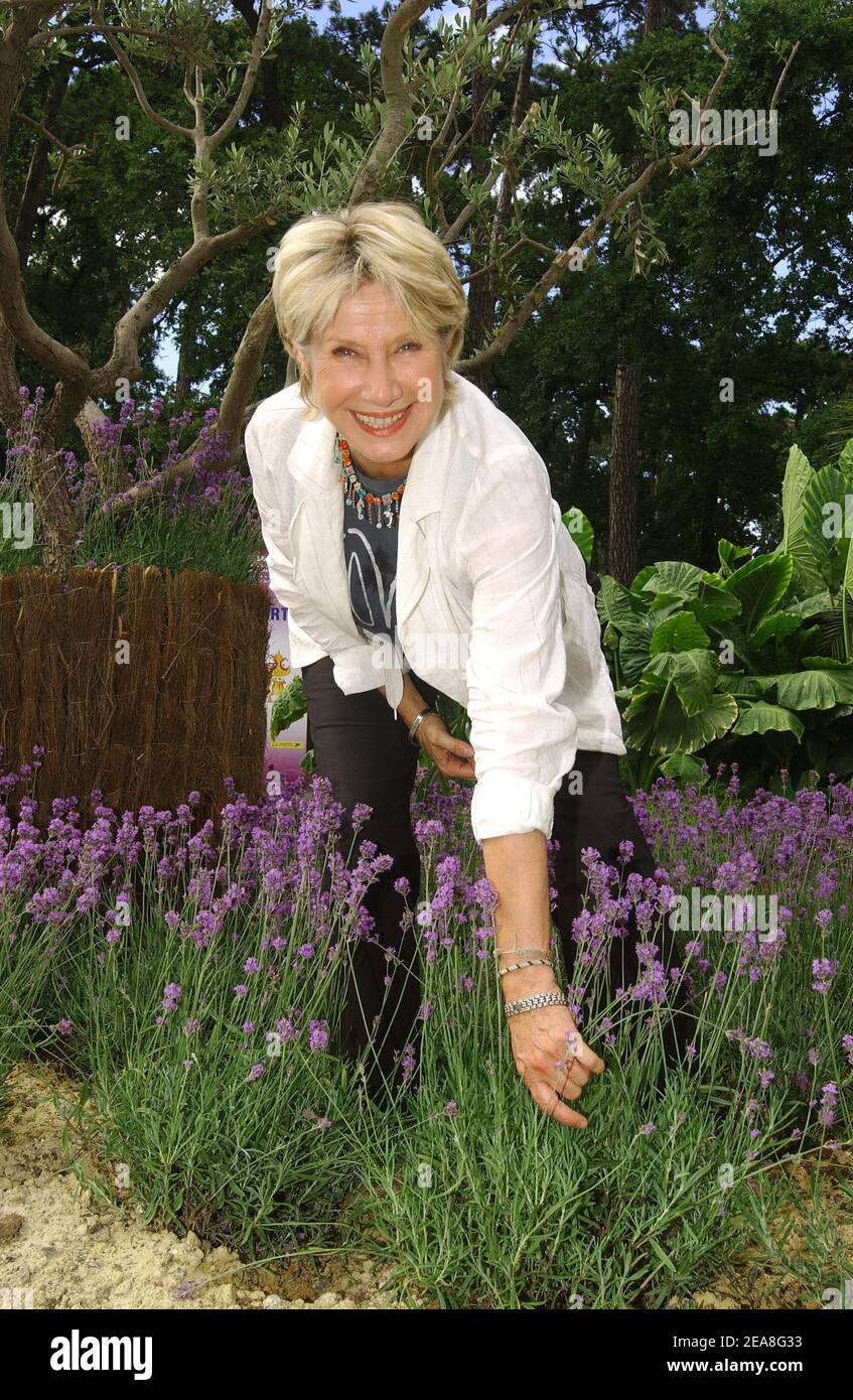 Prior to receive a stamp with her portrait, French TV anchor Daniele ...