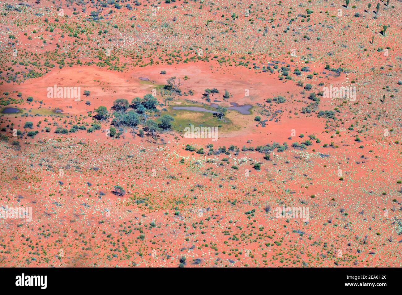 Australia, NT, aerial view from dried up waterhole in Simpson Desert ...