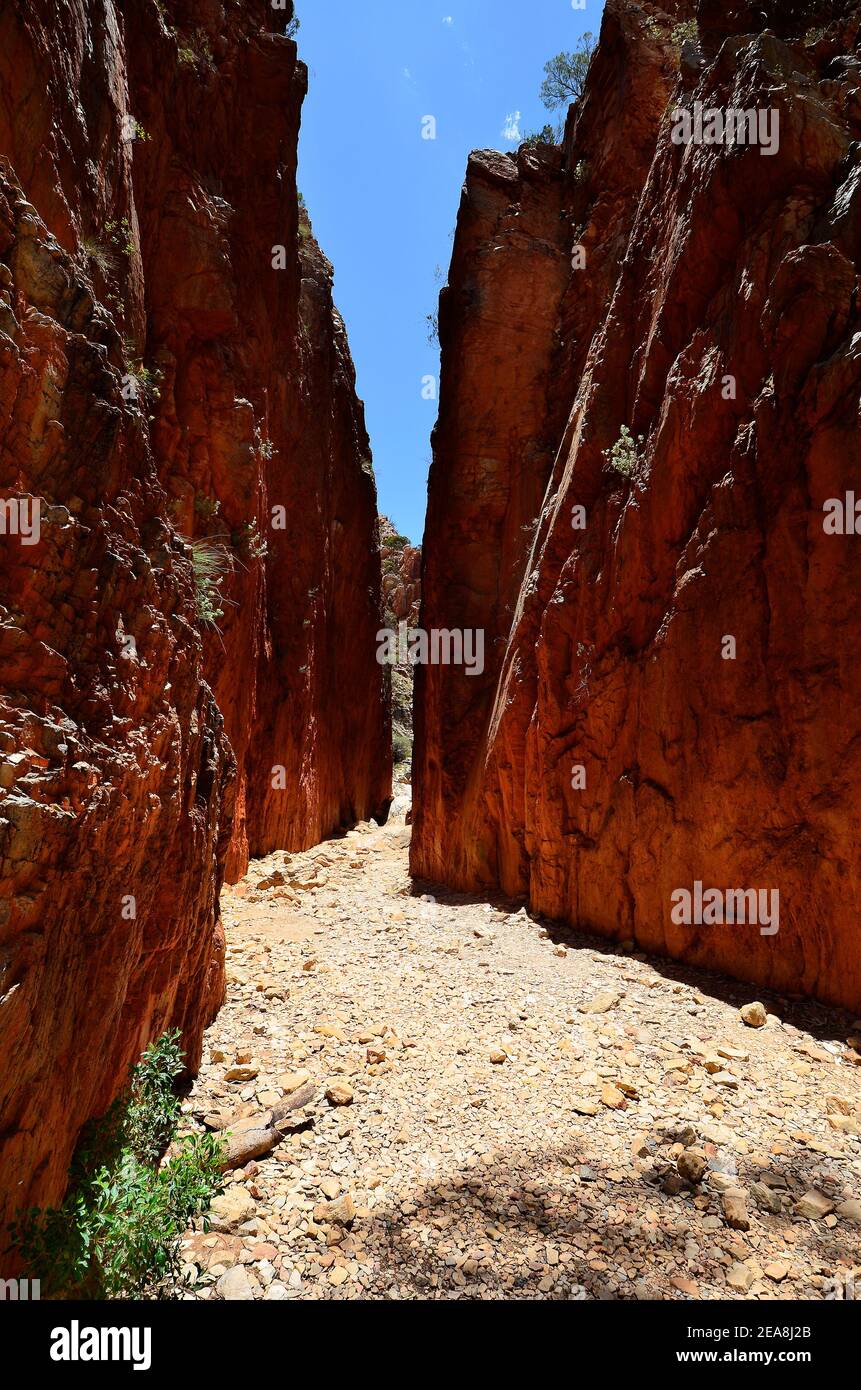 Australia, NT, remarkable Standley Chasm in McDonnell Range national ...