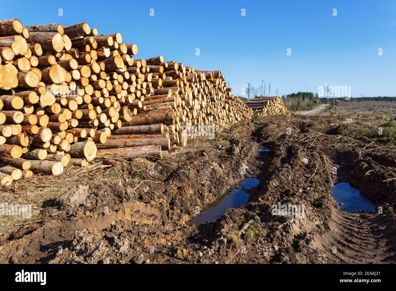 Vehicle damage in the ground at a depots for timber Stock Photo - Alamy