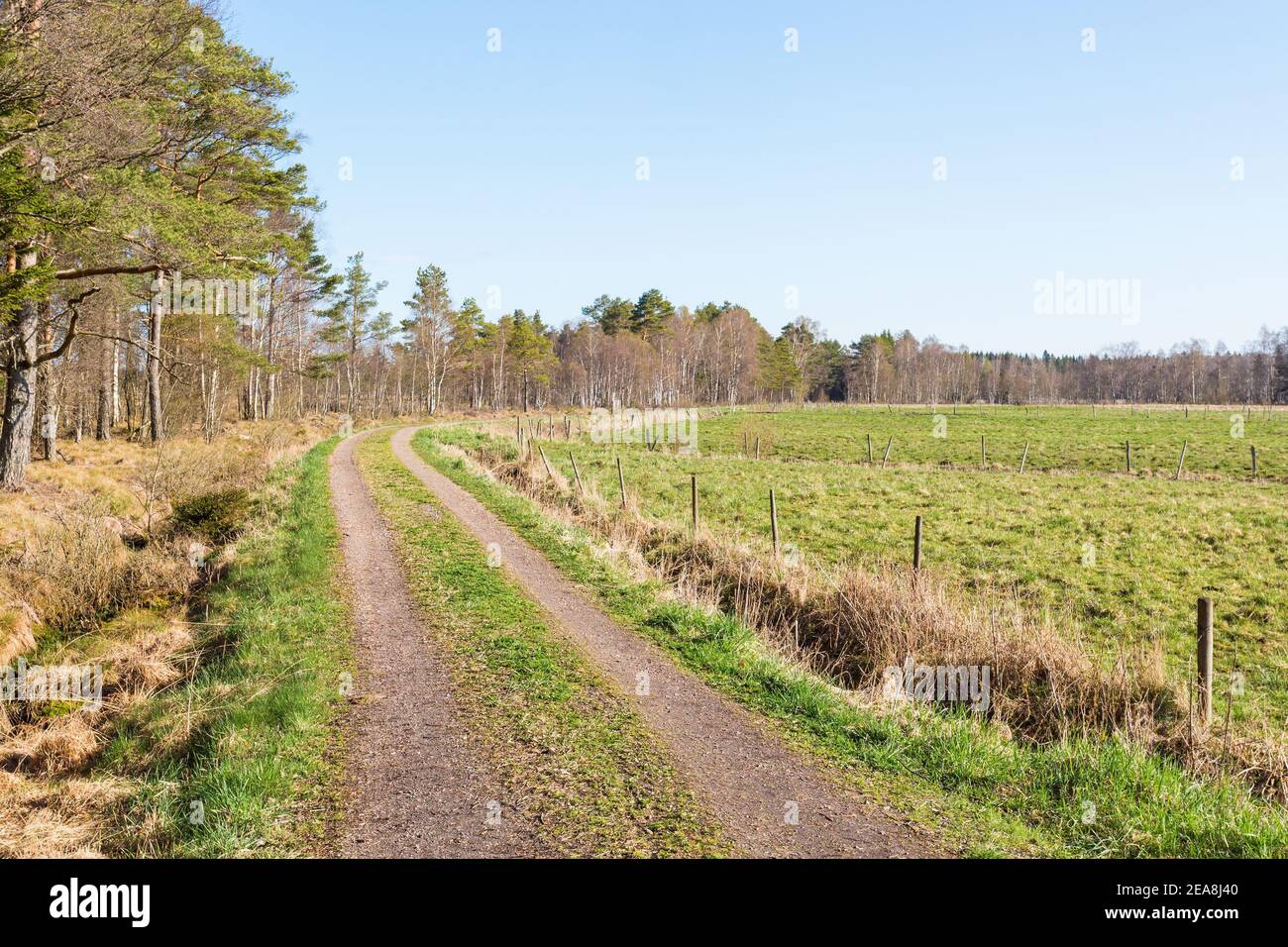 Old bog road hi-res stock photography and images - Alamy