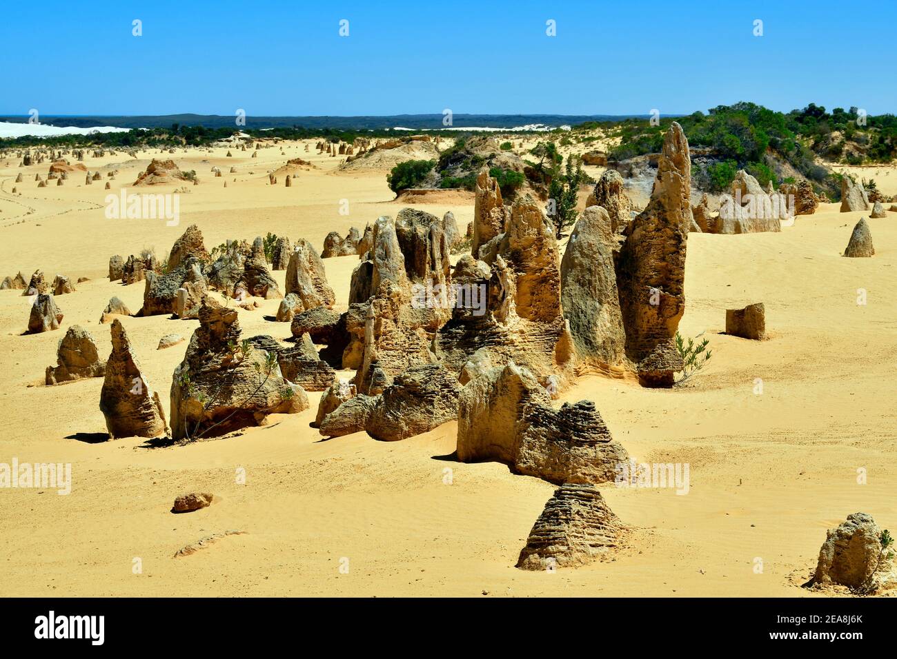 Australia, WA, The Pinnacles in Nambung National Park, preferred ...