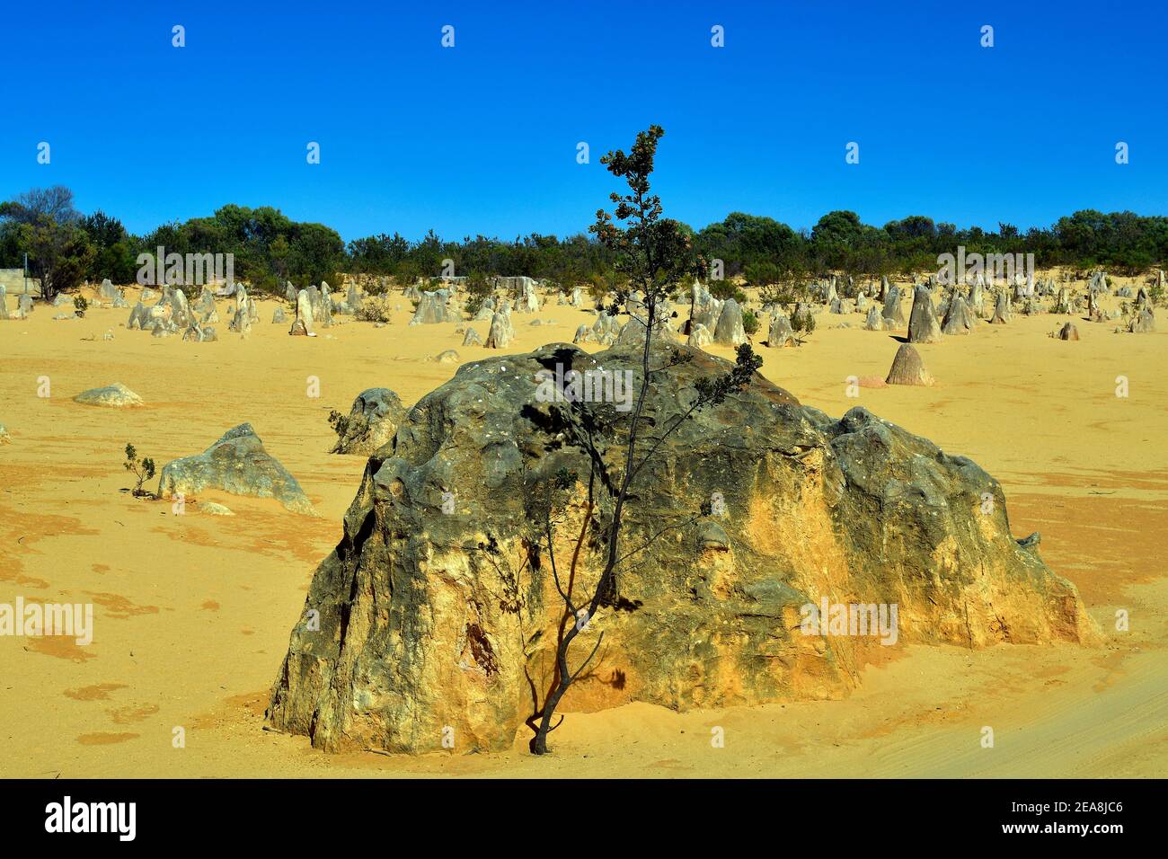 Australia, WA, The Pinnacles in Nambung National Park, preferred ...
