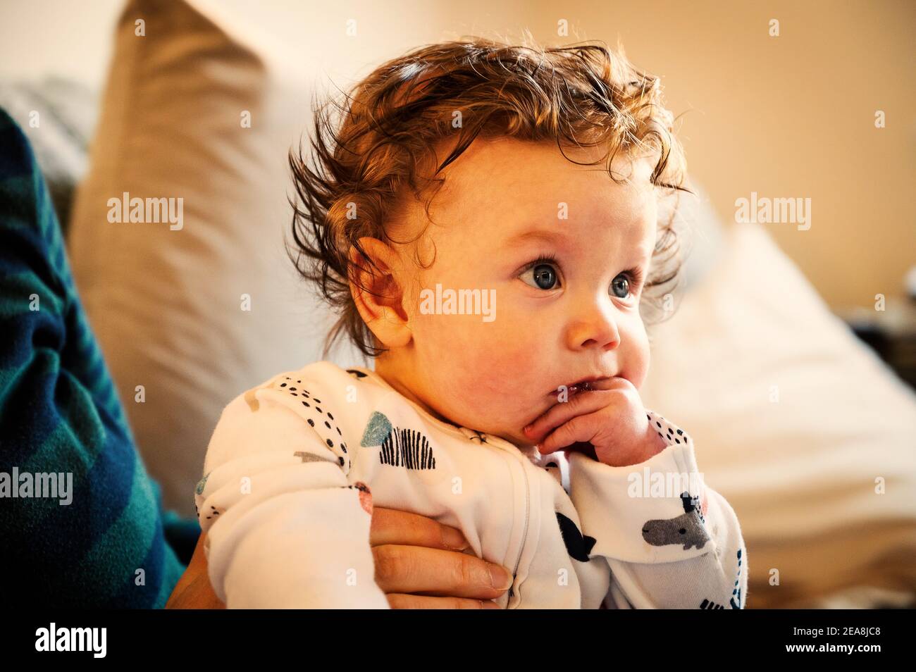 Help taste hi-res stock photography and images - Alamy
