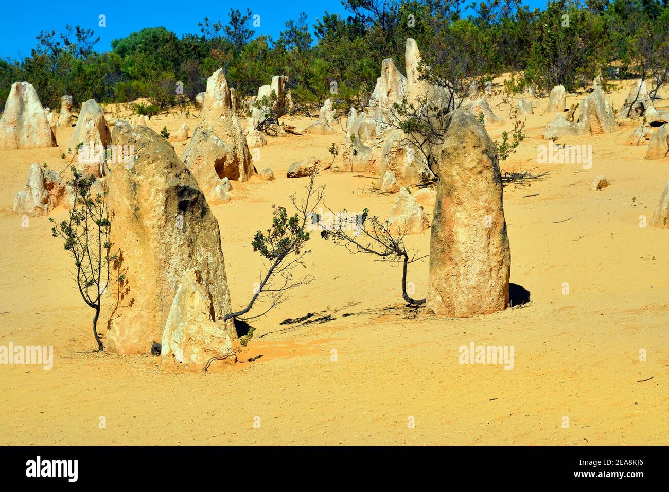 Australia, WA, The Pinnacles in Nambung National Park, preferred ...