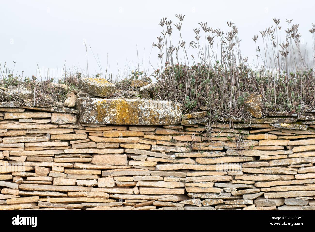 image of stone wall in rural environment Stock Photo - Alamy