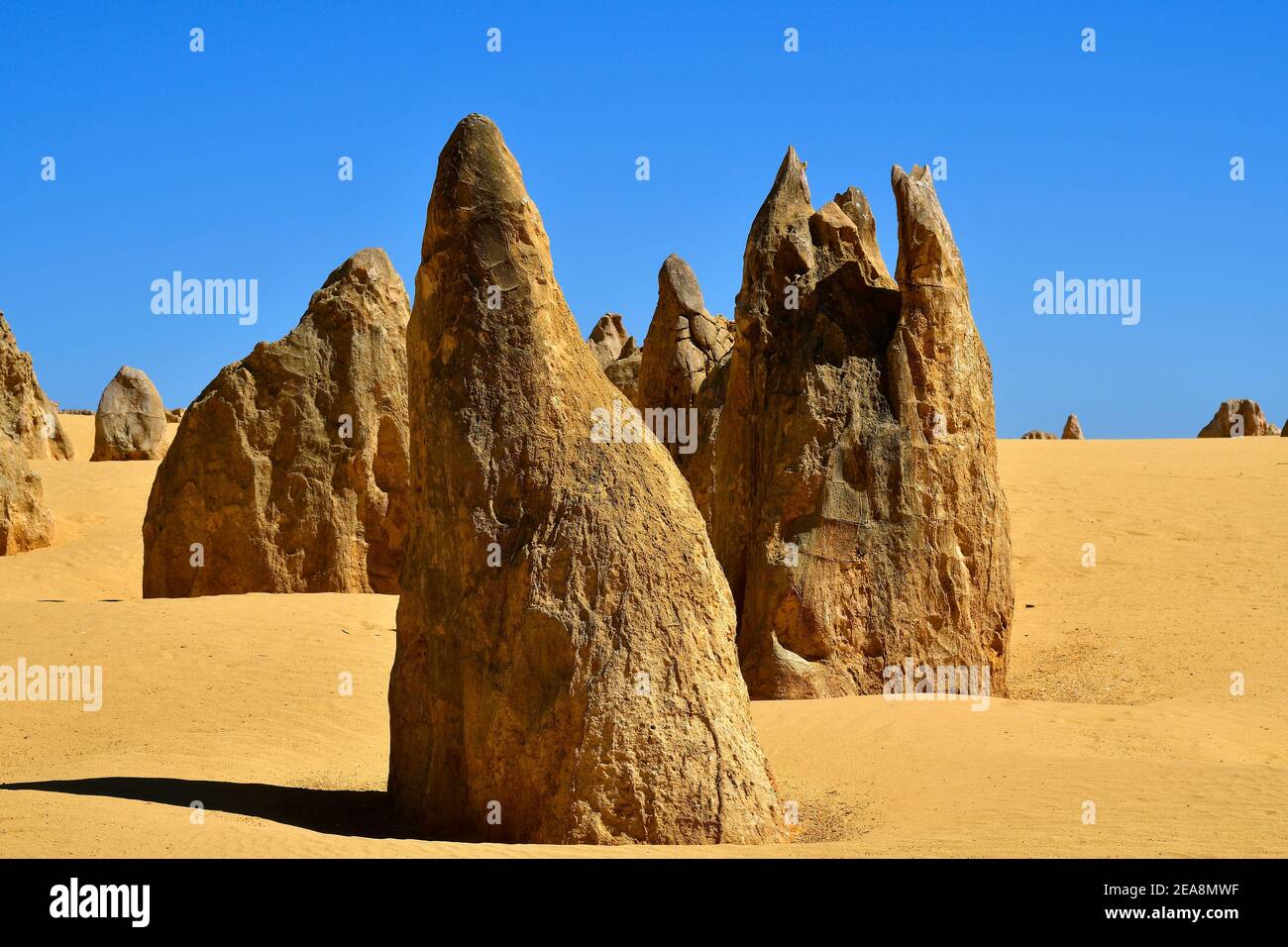 Australia, WA, The Pinnacles in Nambung National Park, preferred ...