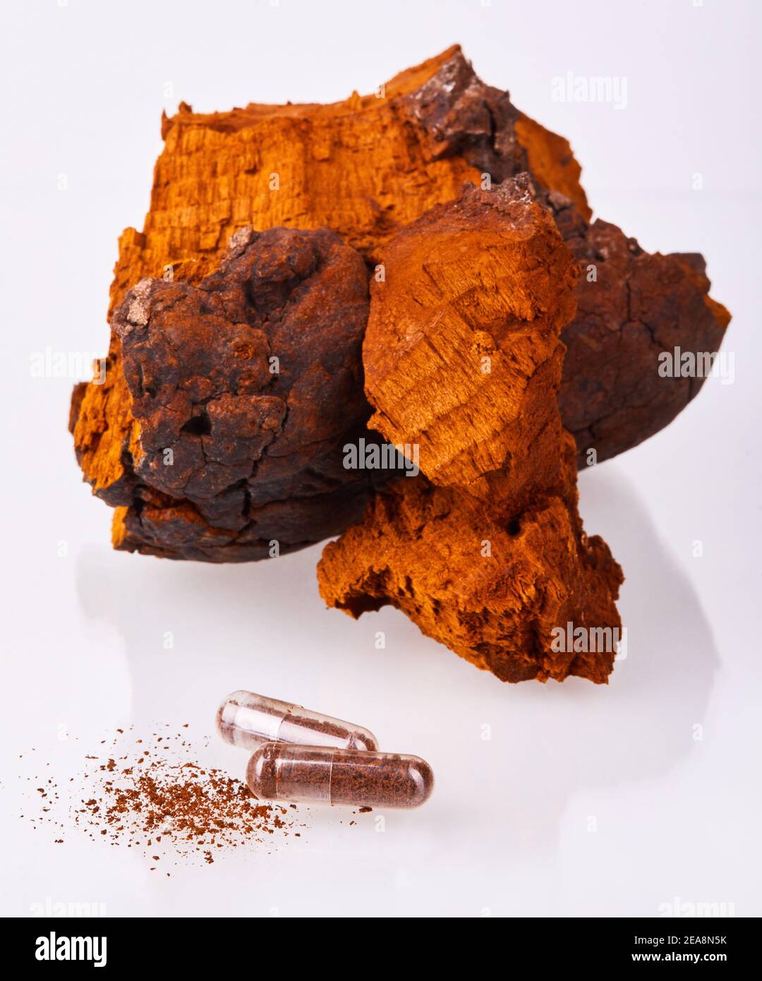 Natural Chaga mushroom pieces with transparent capsules isolated on ...