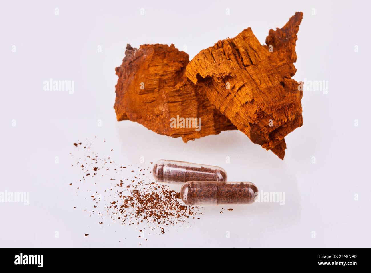 Natural Chaga mushroom pieces with transparent capsules isolated on ...