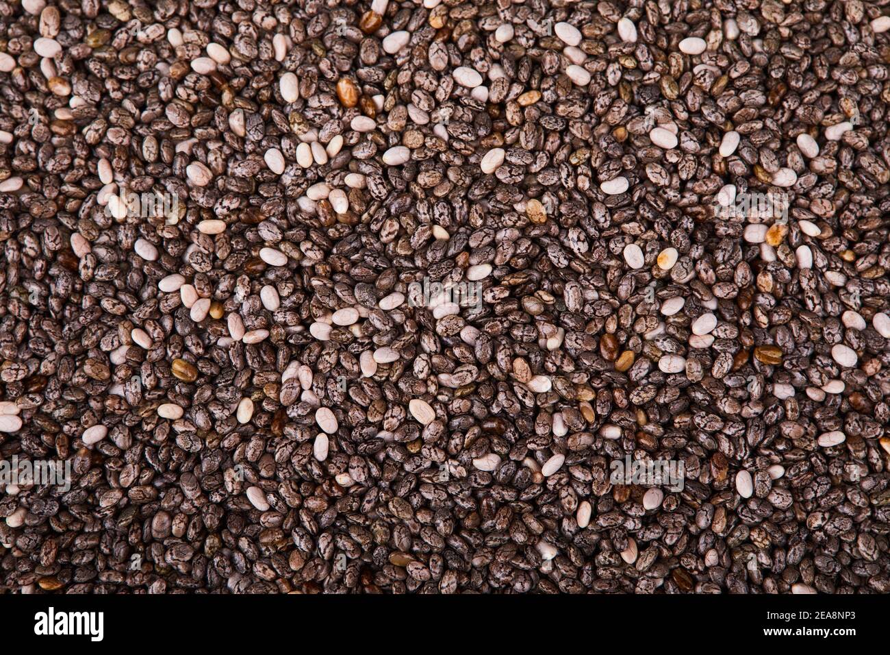 Organic dry Chia seeds (Salvia Hispanica seeds) background. Top view ...