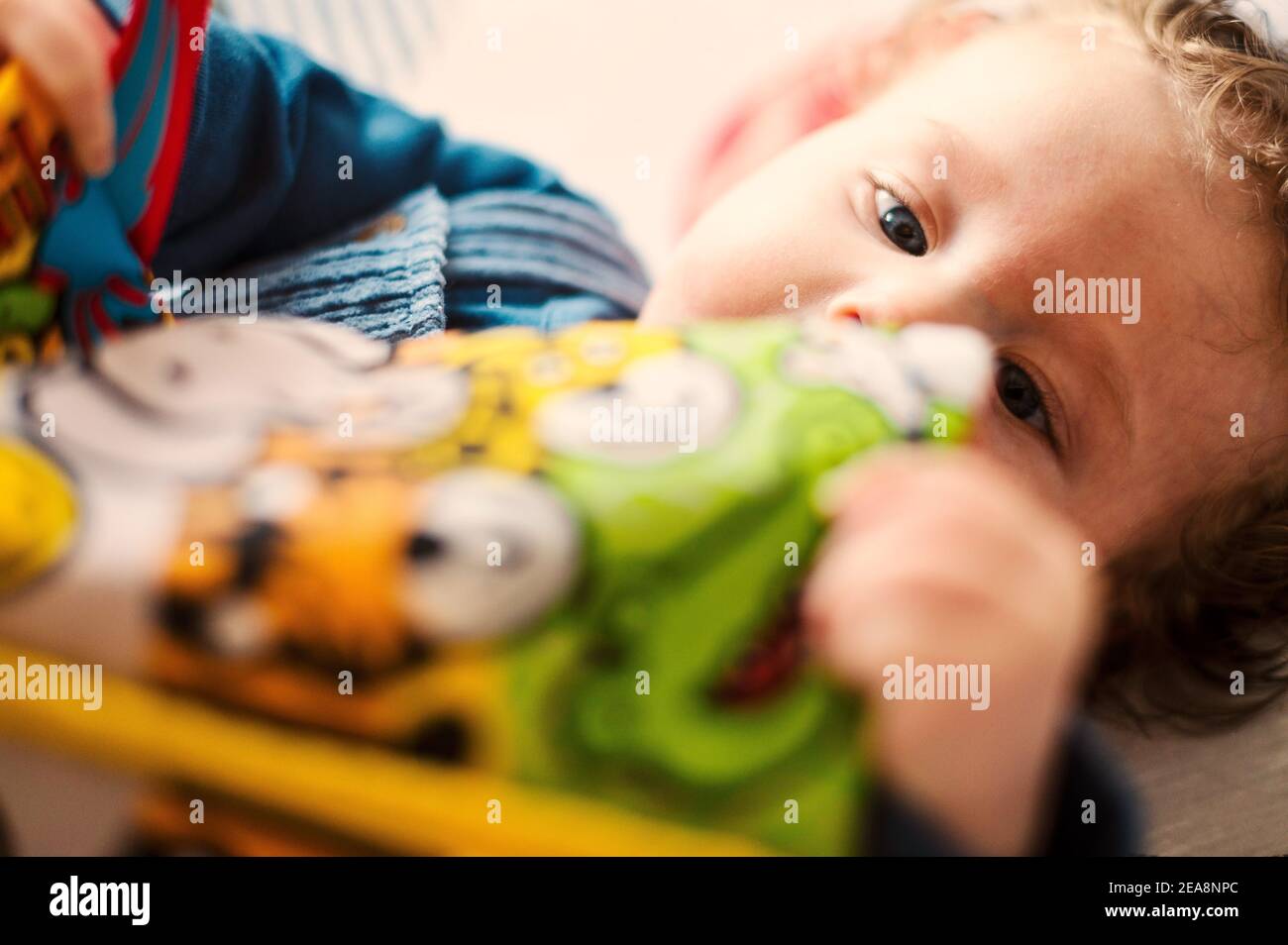 Baby boy exploring tactile book Stock Photo - Alamy