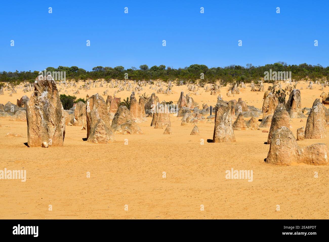 Australia, WA, The Pinnacles in Nambung National Park, preferred ...
