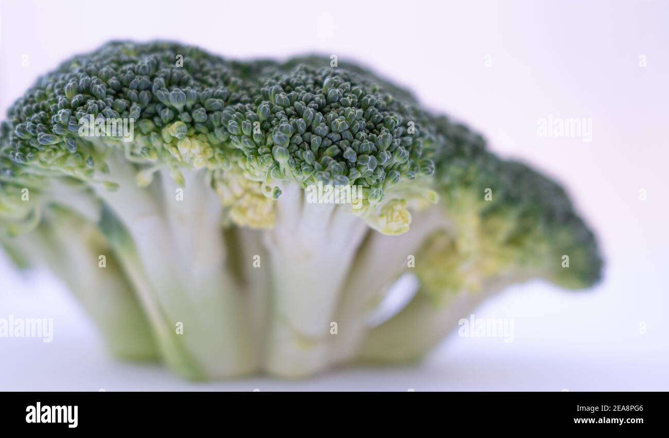 Broccoli isolated on white background Stock Photo - Alamy