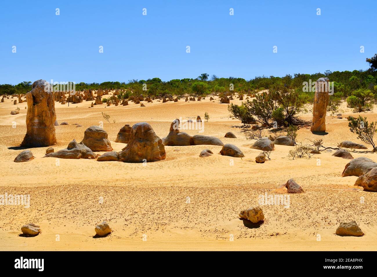 Australia, WA, The Pinnacles in Nambung National Park, preferred ...