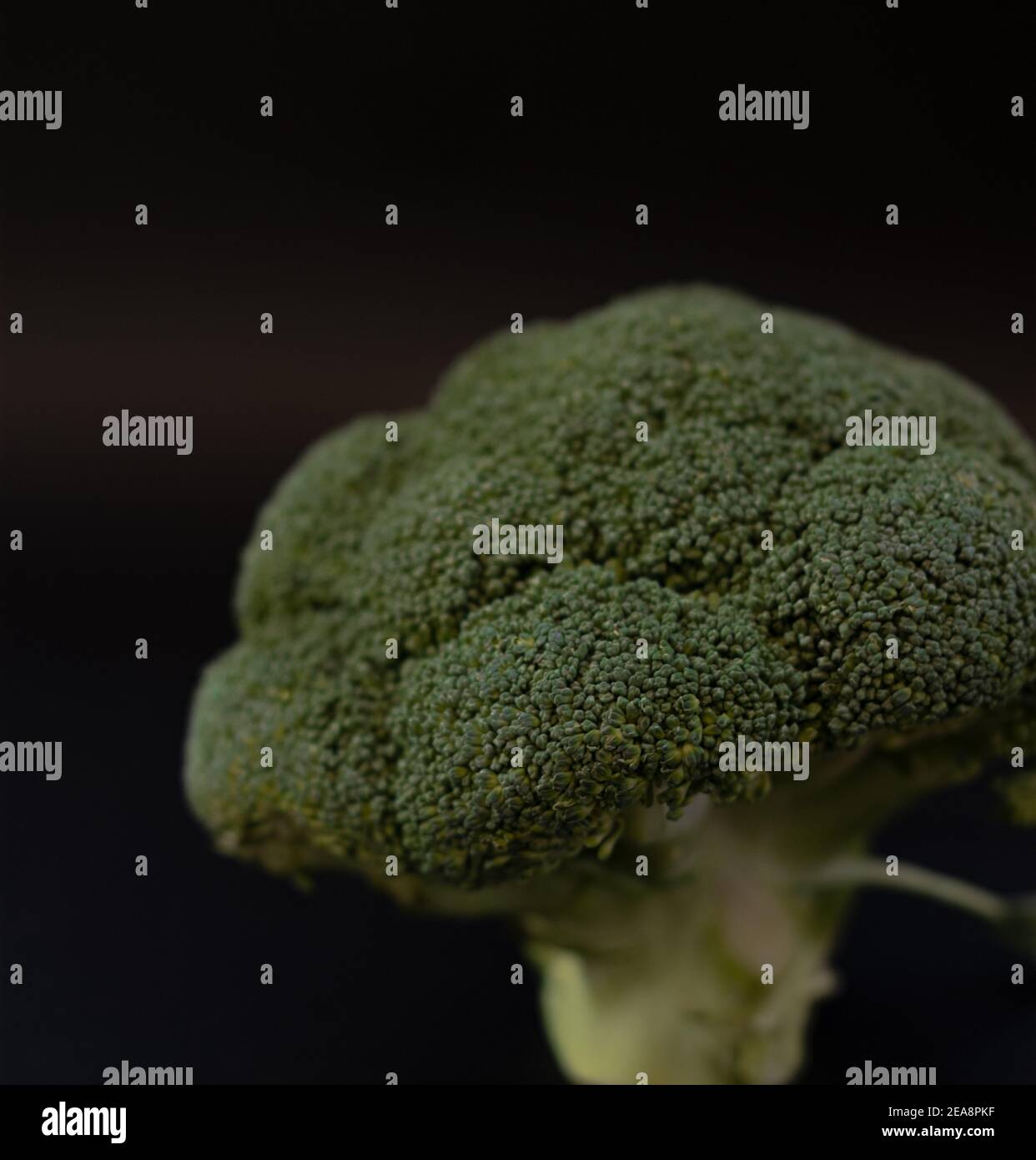 Broccoli isolated on black background Stock Photo - Alamy