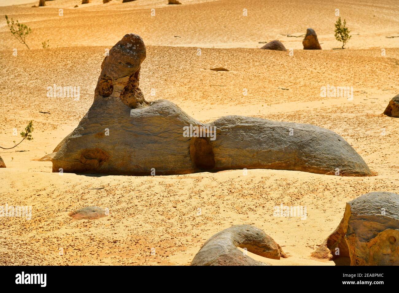 Australia, WA, The Pinnacles in Nambung National Park, preferred ...