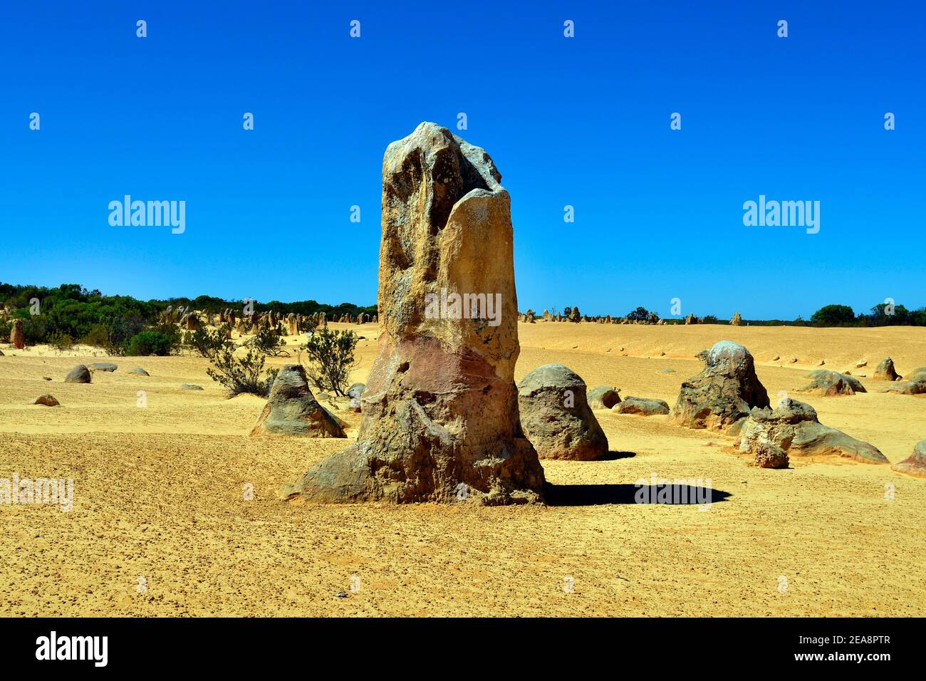 Australia, WA, The Pinnacles in Nambung National Park, preferred ...