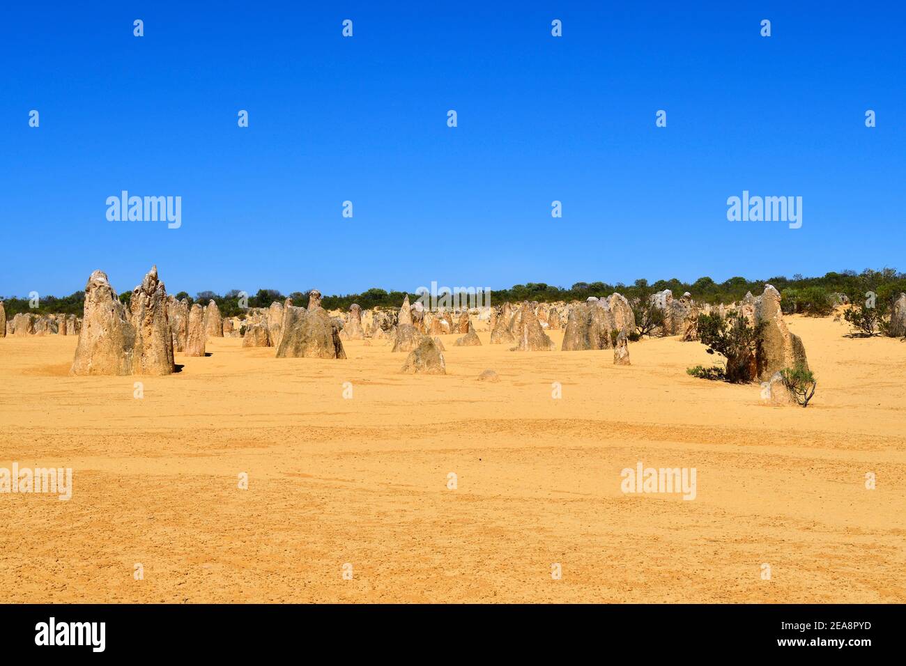 Australia, WA, The Pinnacles in Nambung National Park, preferred ...