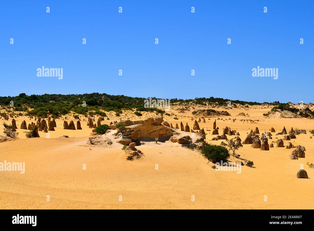 Australia, WA, The Pinnacles in Nambung National Park, preferred ...
