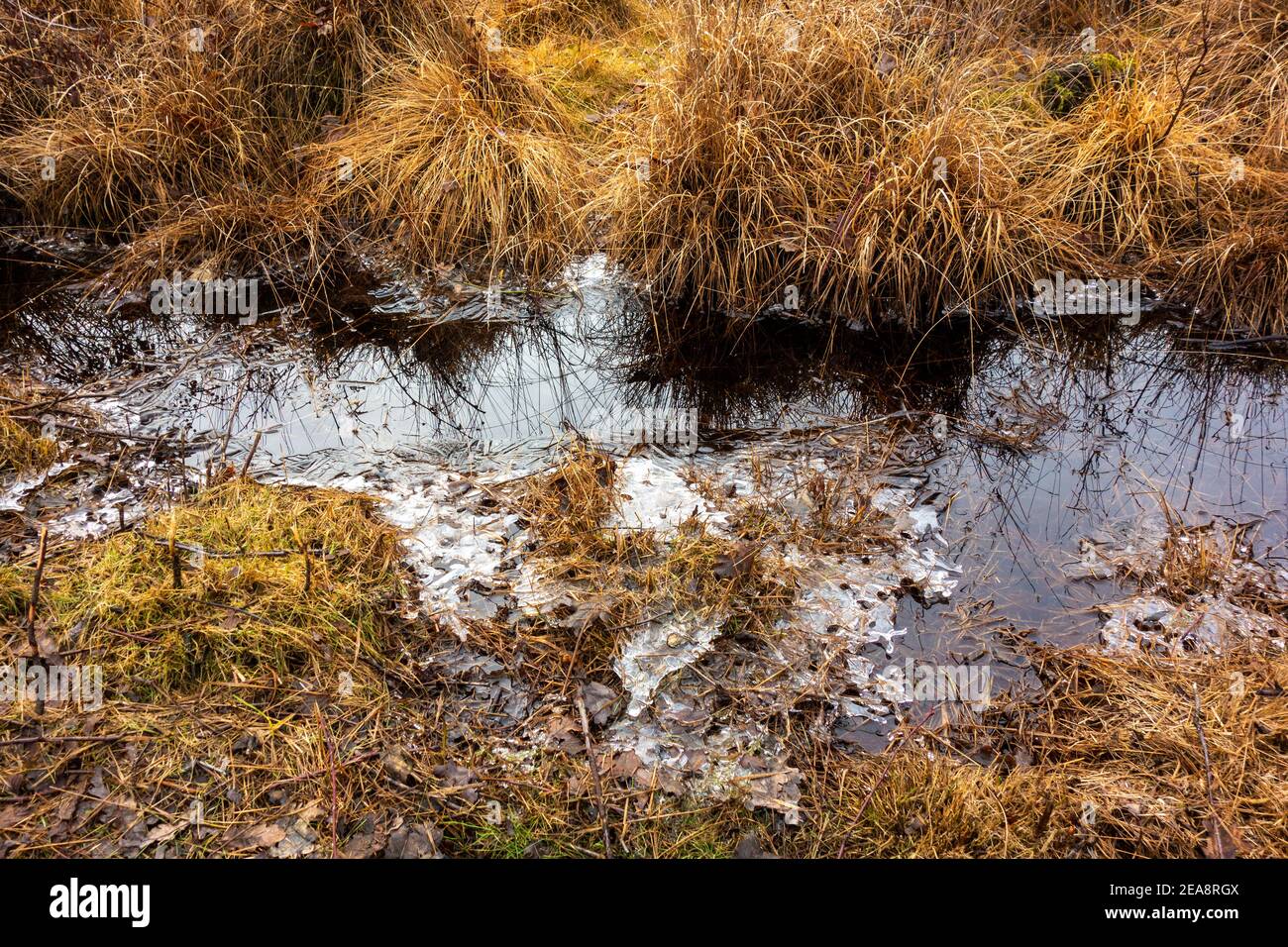 Grass mud ditch hi-res stock photography and images - Alamy