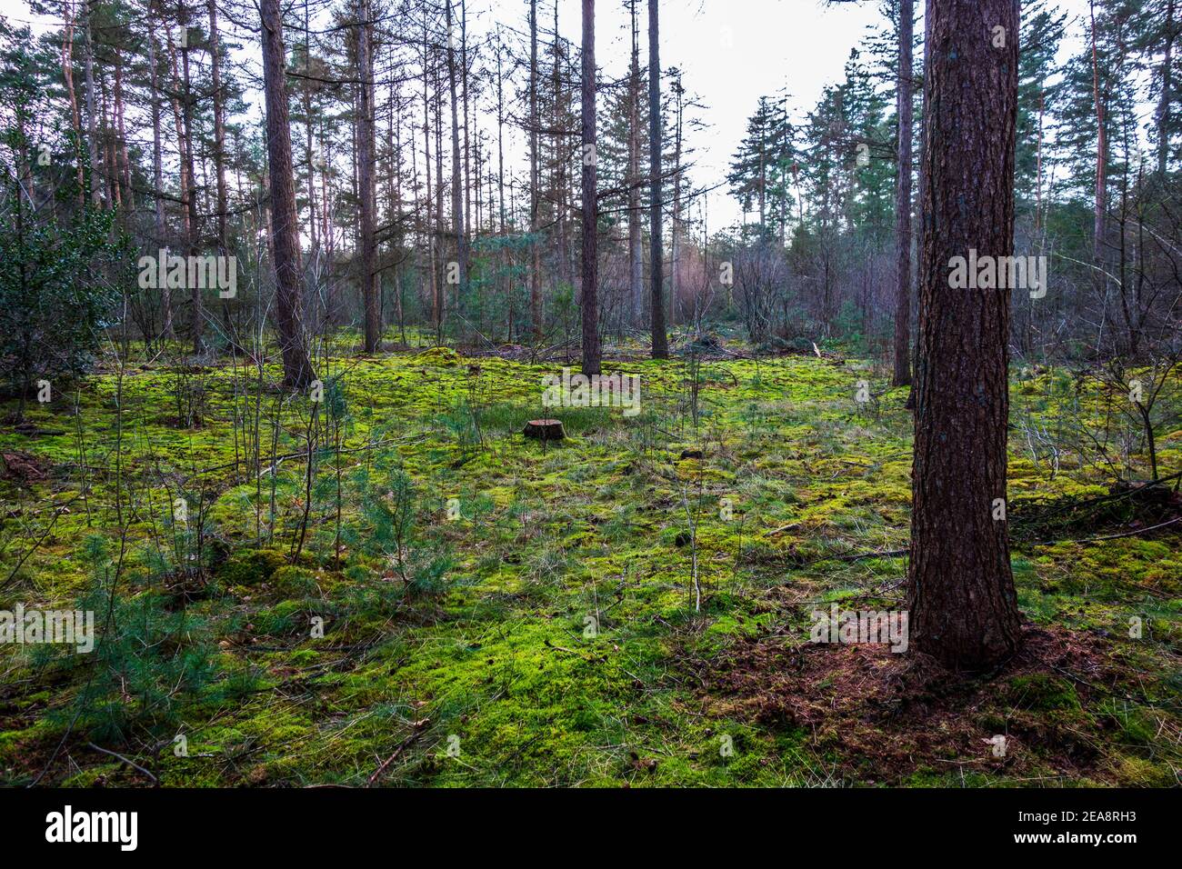 Netherlands pollution hi-res stock photography and images - Alamy