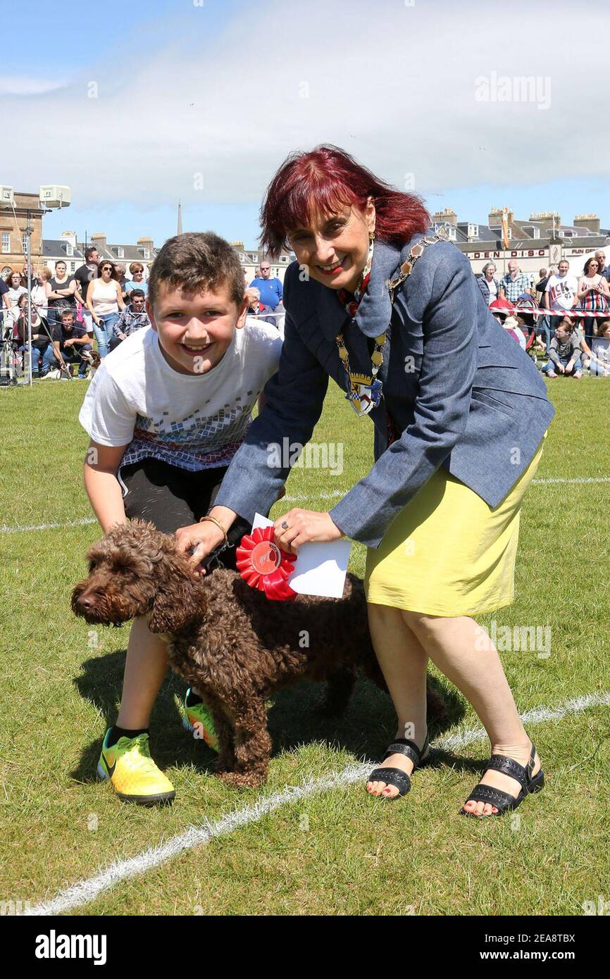 Bagpiping competition hi-res stock photography and images - Alamy